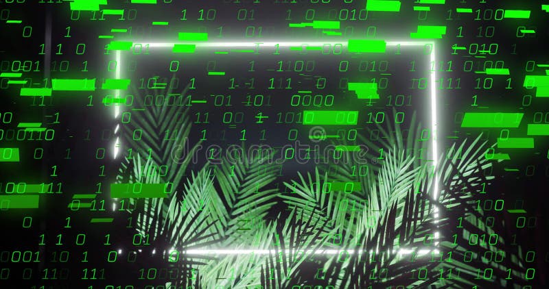 Binary Code and Data Processing Animation Over Tropical Palm Leaves Stock Video - Video of ...