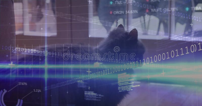 Binary Code and Data Visualization Animation Over Cat Resting Indoors ...