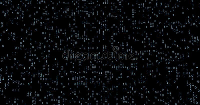 Binary data grid stock footage. Video of numbers, game - 77312206