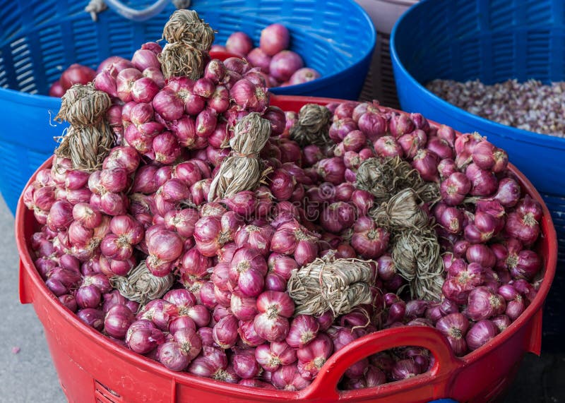 Bind of red onion stock image. Image of fresh, ripe, natural - 38498951