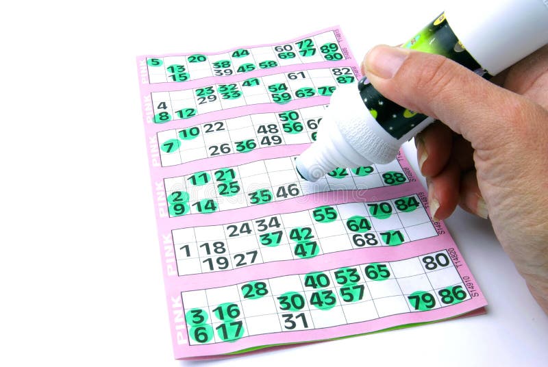 Bingo full house stock photo. Image of card, pink, hand - 13941820
