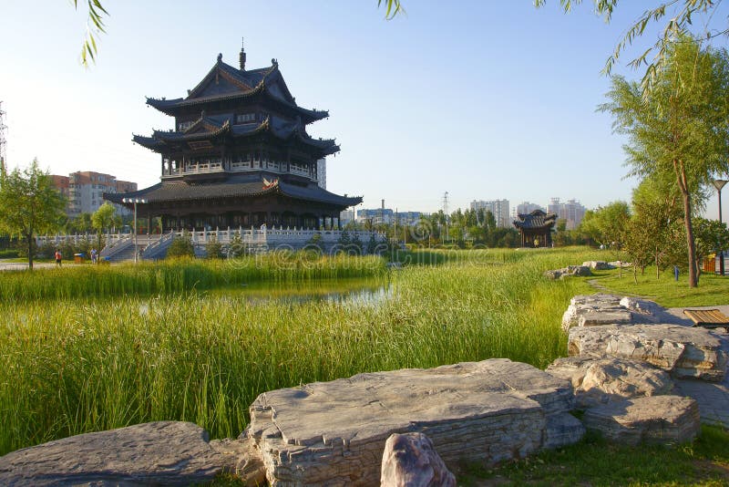 Park stock image. Image of plant, bypath, scenery, sunshine - 11477903