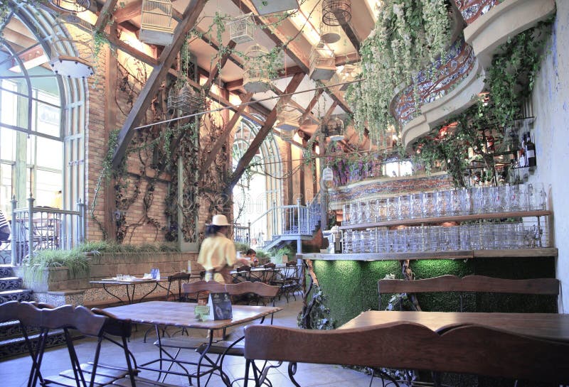 Het Binnenland Van De De Steenvilla Van De Luxe Stock Foto - Image of ...