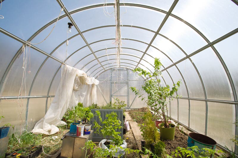 Kas stock afbeelding. Image of onderneming, cultureren - 5375561