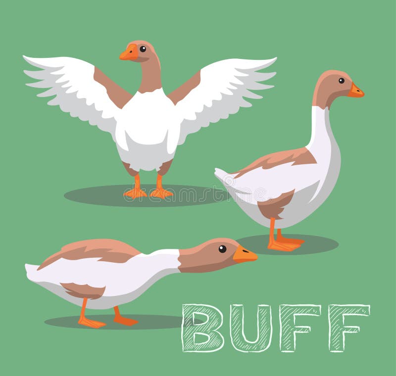 Binnenlandse Gans Buff Cartoon Vector Illustration Vector Illustratie ...