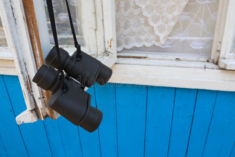 A Forest in a Window stock image. Image of black, outdoor - 102905483