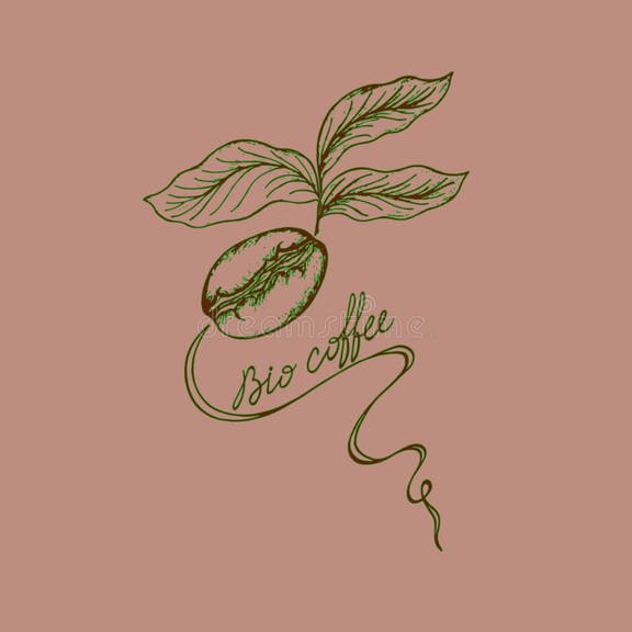 Bio café ilustración del vector. Ilustración de aroma - 55140152