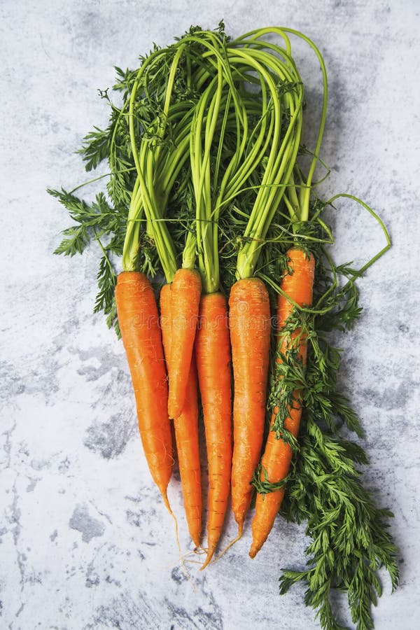 Bio carrots top view stock image. Image of freshness - 149799765