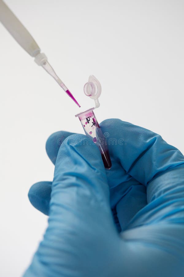 Bio Chemistry Science Lab Technician Testing with a Pipette Stock Photo ...