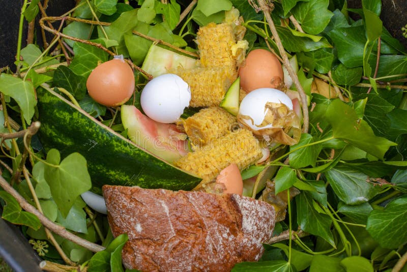 Bio Container with Various Organic Wastes for Recycling Stock Photo ...