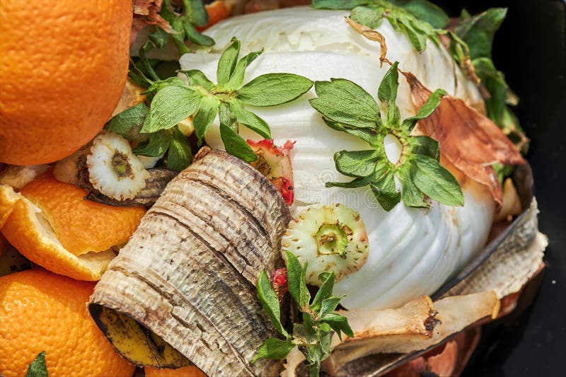 Bio Container with Various Organic Wastes for Recycling Stock Image ...