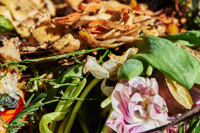 A Bio Container with Various Organic Wastes for Recycling Stock Photo ...