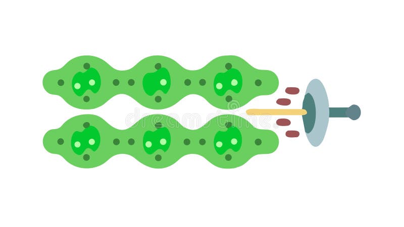 Bio-Engineering Cells, Molecular Structure, Scientific Research, Vector ...