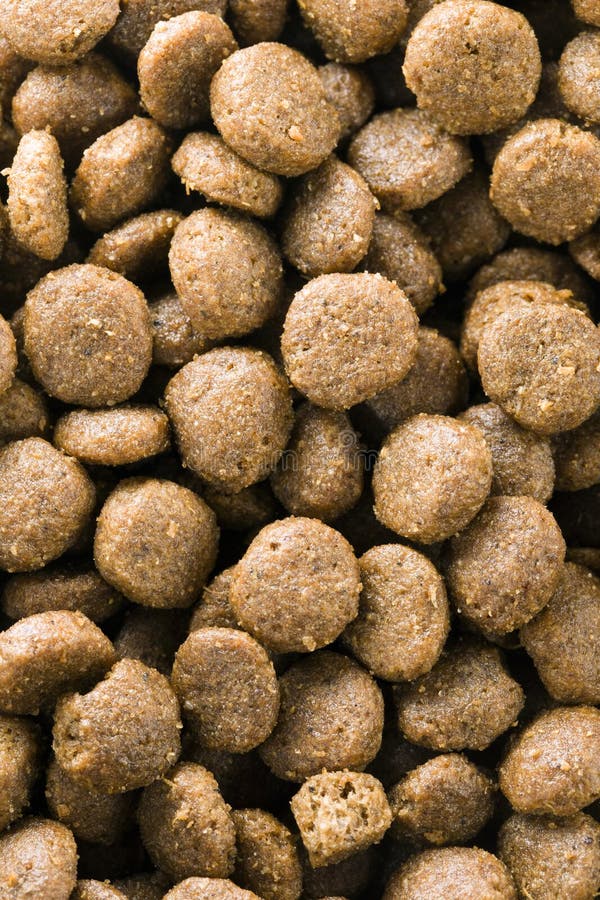 Bio food for dogs stock image. Image of health, floor - 126297329