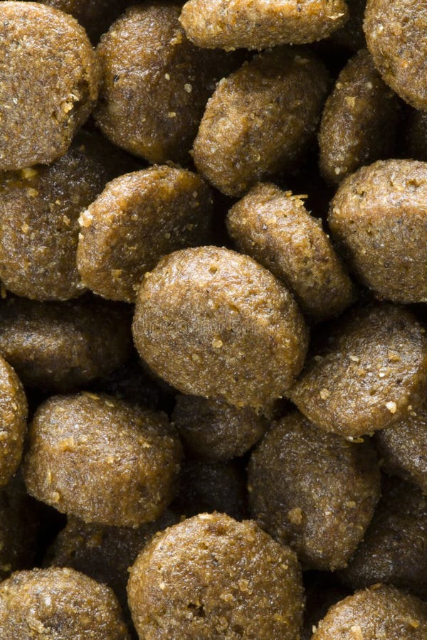 Bio food for dogs stock image. Image of petfood, macro - 126297337