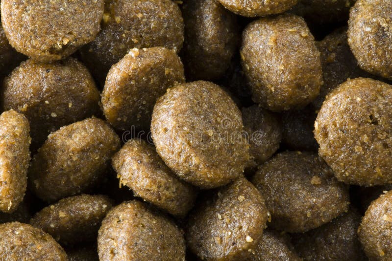 Bio food for dogs stock image. Image of feed, floor - 126297339