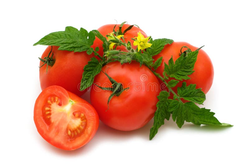 Bio fresh tomatoes stock photo. Image of fruit, color - 9909244