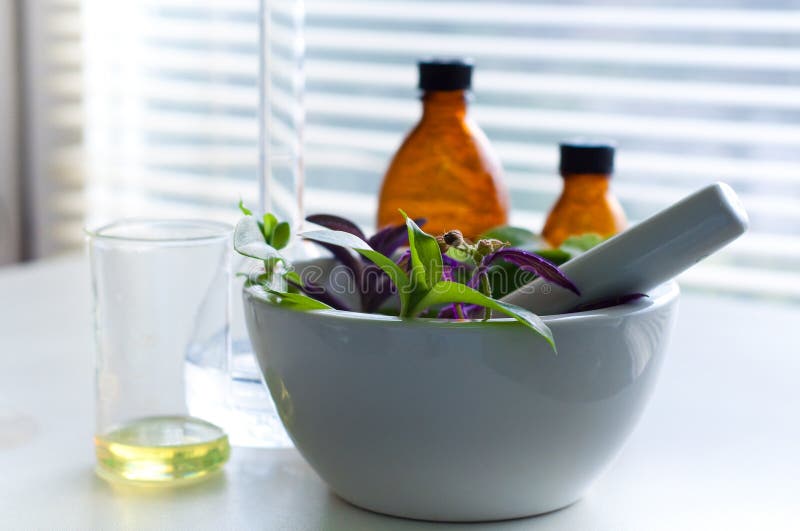 Bio laboratory stock photo. Image of leaf, peppercorns - 10626148