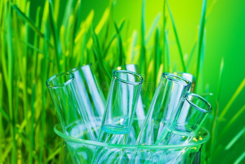 Bio laboratory stock image. Image of development, grow - 36890725