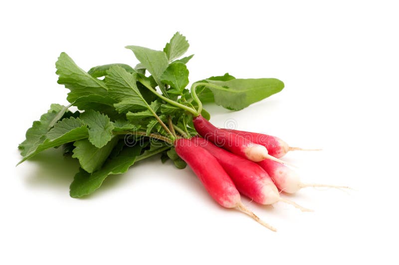 721 Photos de Long Radis Rouge - Photos de stock gratuites et libres de ...
