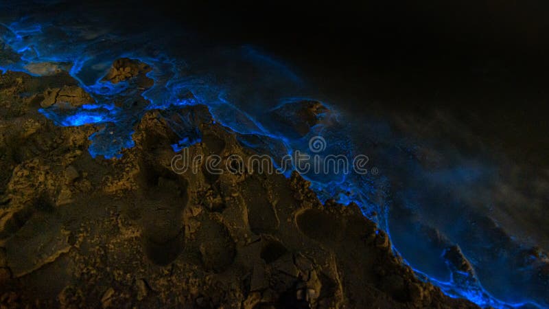 Bio luminescent stock photo. Image of motion, bioluminescence - 305096602
