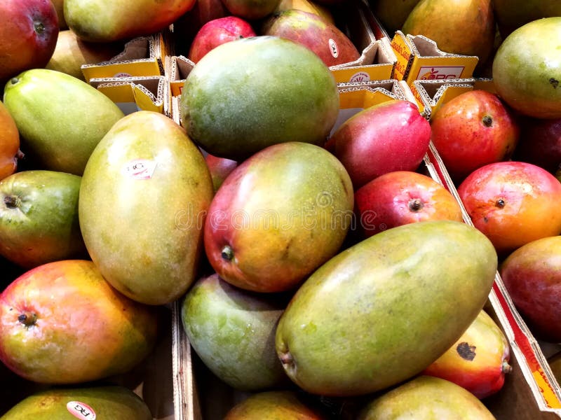 Plantain stock image. Image of plantain, tropical, white - 22041171
