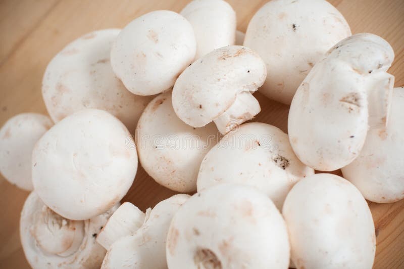 Bio mushrooms stock photo. Image of table, homemade, natural - 30063612