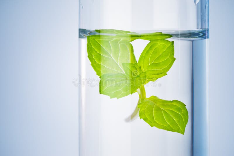 Pharmacy Label Project Stock Photos - Free & Royalty-Free Stock Photos ...