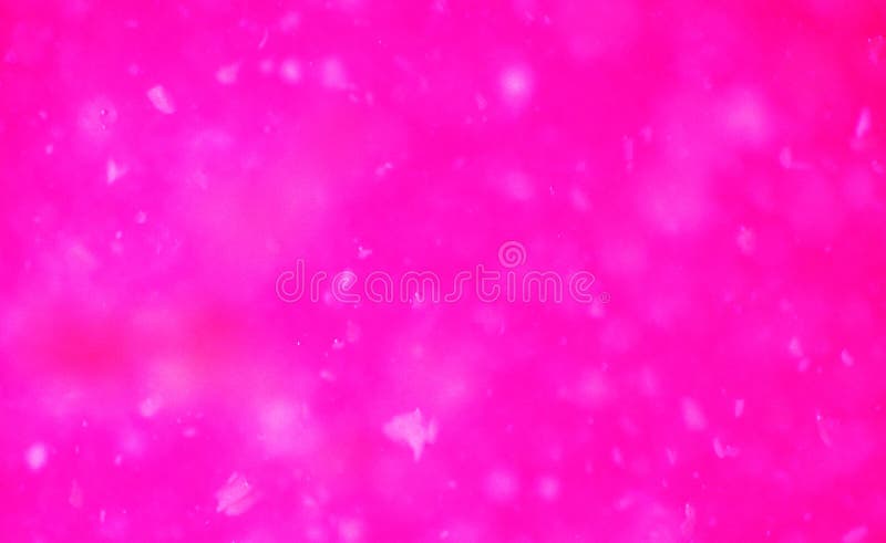 Azalea Purple Color Pictures And Images - RGB Color Hex Code [#FF00C0 ...