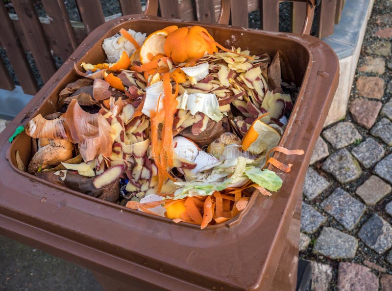 Bio waste in the bin stock photo. Image of concept, kitchen - 194055822