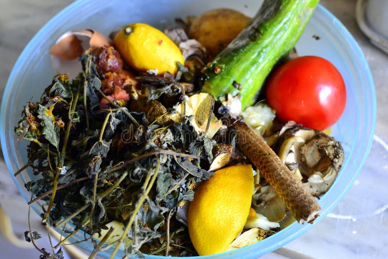 Bio waste in plastic box stock image. Image of classification - 229063385