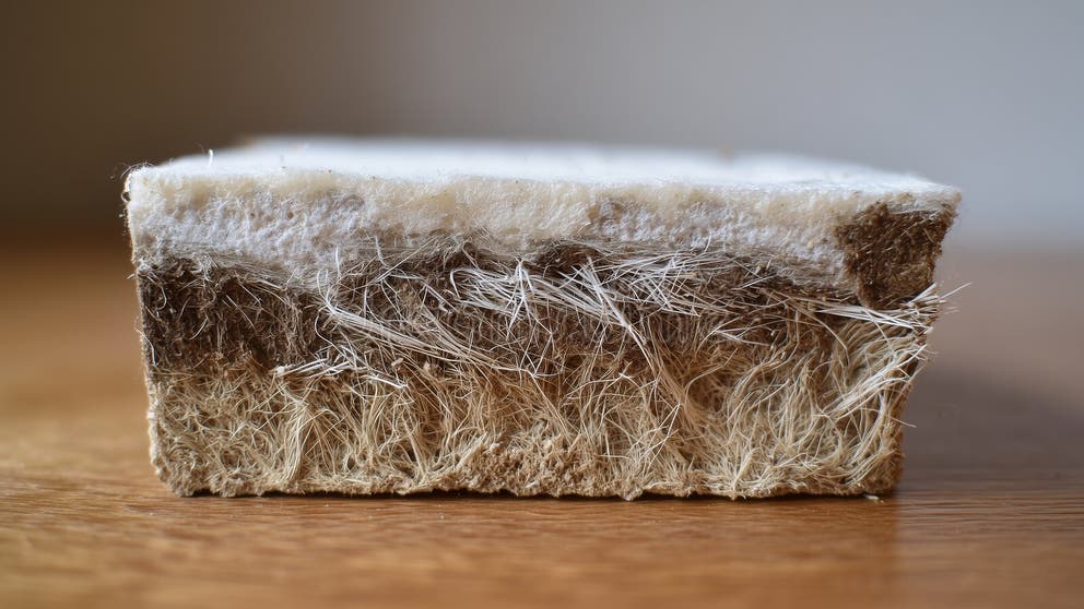 A Biocement Block Demonstrates Advanced Growth Techniques for Eco ...