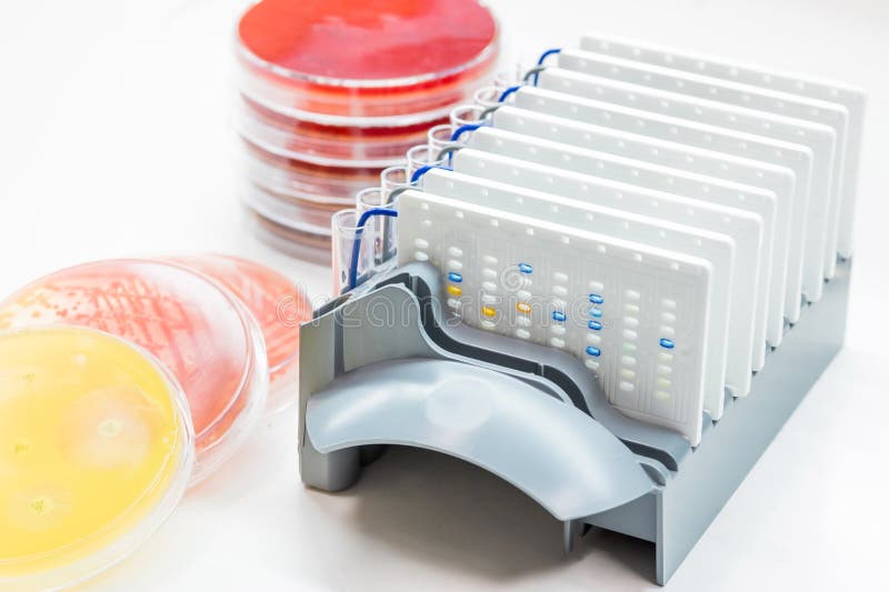 Biochem Test Kit and Media and Tube Blood Colection for Identified ...