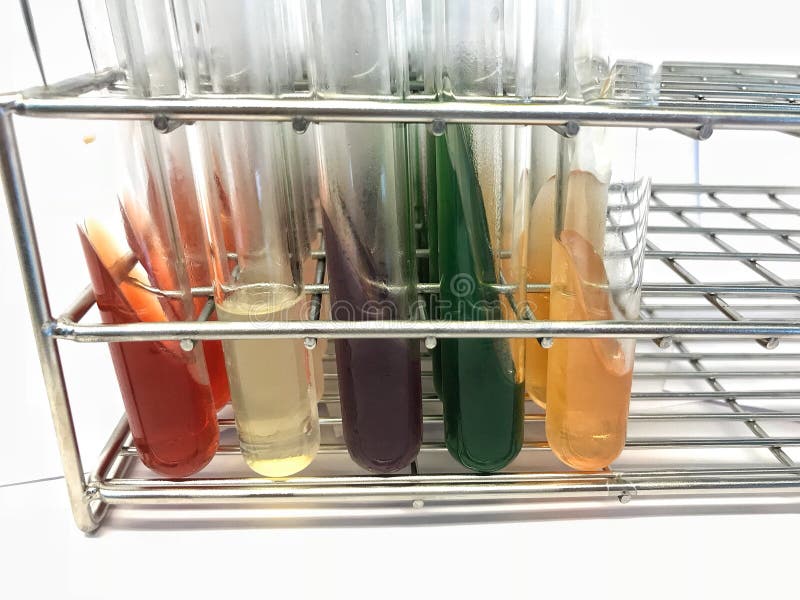 Biochem Test Kit And Media And Tube Blood Colection For Identified ...