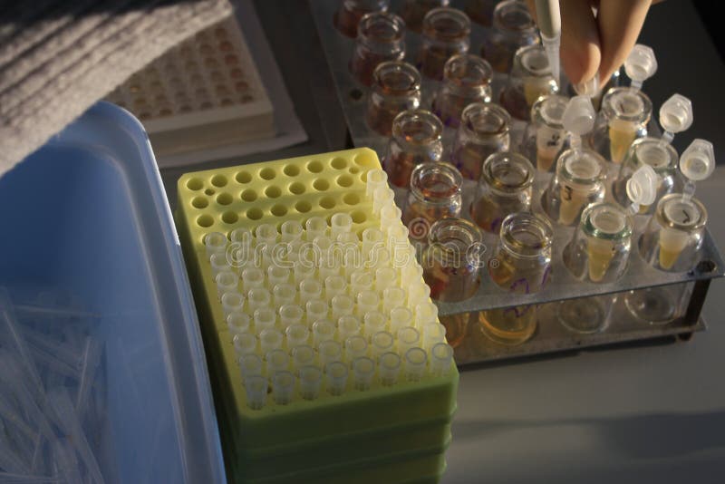 In the Biochemical Laboratory Stock Photo - Image of blood, tests: 84843308