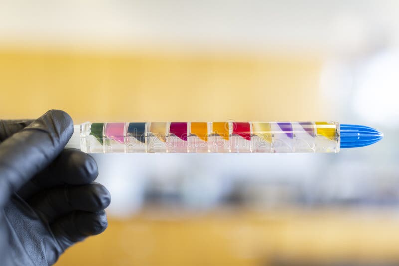 Biochemical Tests For Bacteria Identification Types P - vrogue.co Biochemical Tests For Bacteria Identification Types P - vrogue.co