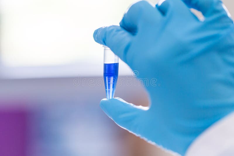 Biochemische Analyse Und Chemische Analyse Im Labor Stockbild - Bild ...