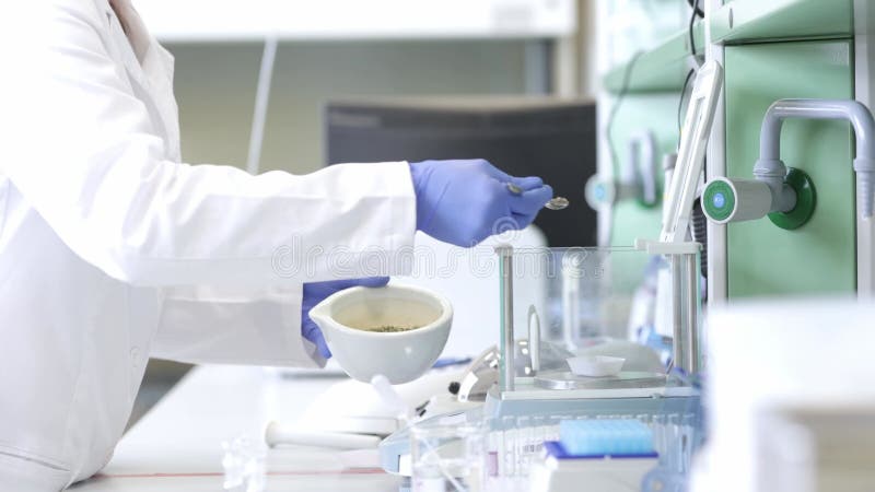 Biochemist Using Scale for Correct Weight of the Mixture in the ...