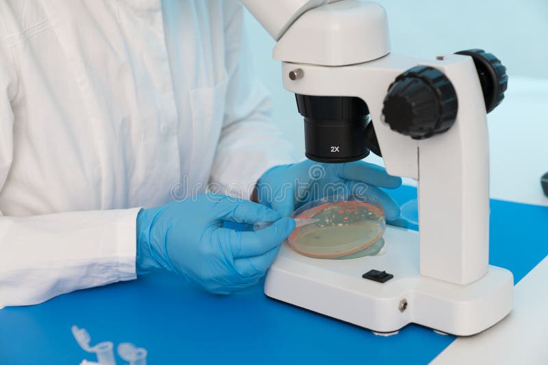 Biochemistry research test stock photo. Image of culture - 187468660