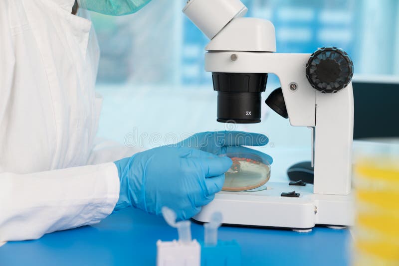 Biochemistry research test stock image. Image of bacteria - 187468923