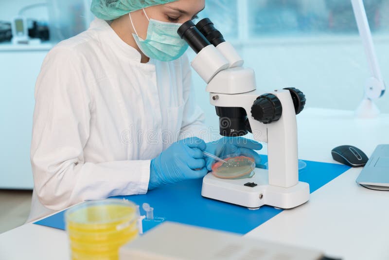 Biochemistry research stock image. Image of analyzing - 2981737