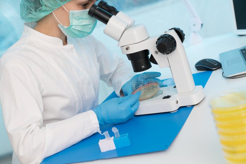 Biochemistry Research Test. Biochemistry Research. Stock Image - Image ...