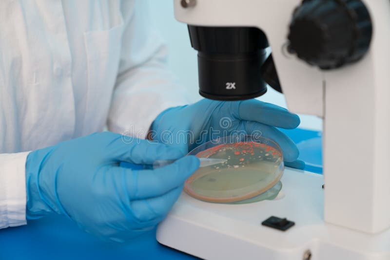 Biochemistry Research Test Biochemistry Research. Stock Image - Image ...