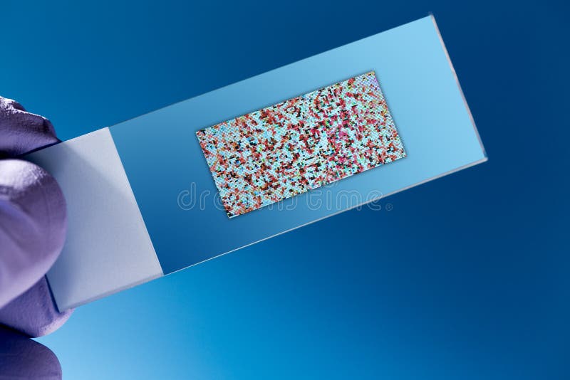 Sequencing the genome. stock image. Image of genes, biochemistry ...