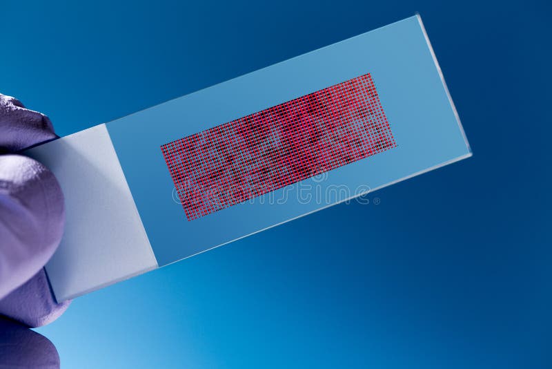 Biochip stock image. Image of medical, futuristic, hand - 44548627