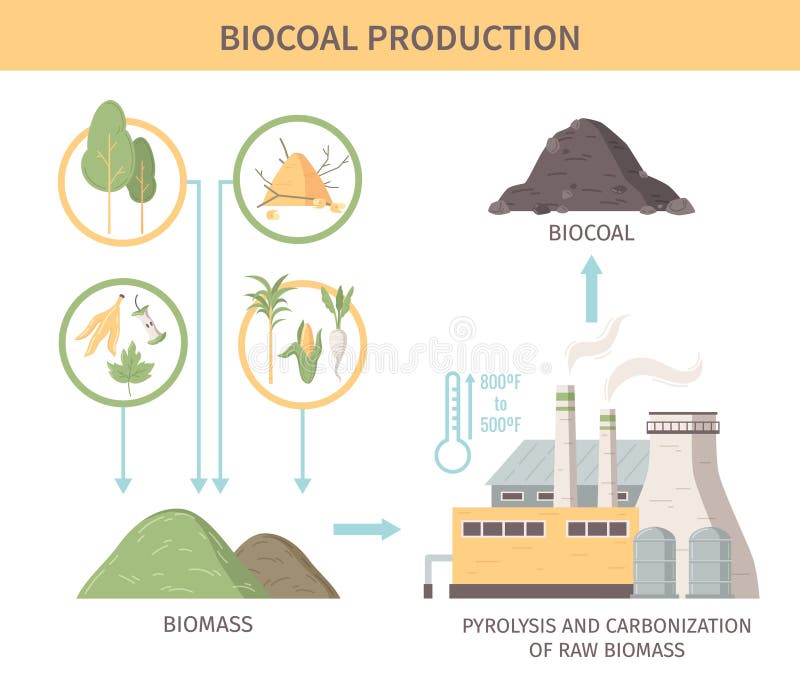 Biocoal Production Infographics Illustration Stock Vector ...