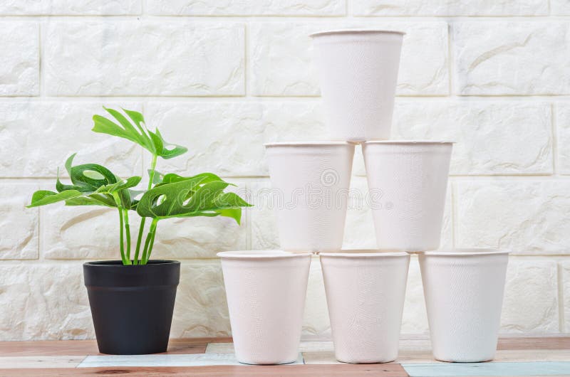 Biodegradable Glass Make from Nature Stock Image - Image of ecological ...