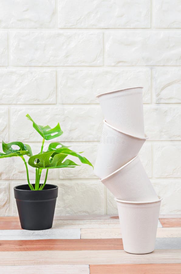 Biodegradable Glass Make from Nature Stock Image - Image of kitchen ...