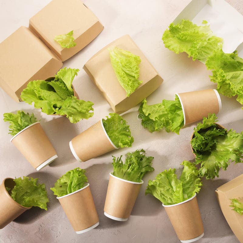 Biodegradable Tableware and Greens on Light Background. Secondary ...
