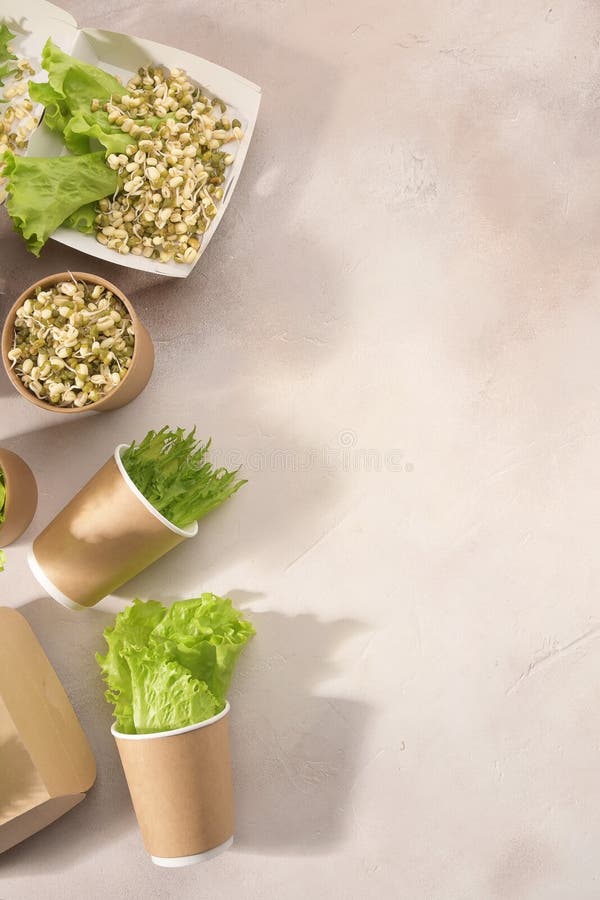 Biodegradable Tableware and Greens on Light Background. Secondary ...